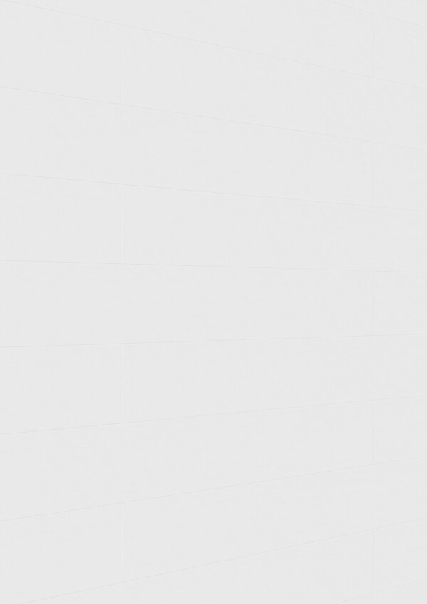 Dekorpaneele White pearl 20097 MEISTER