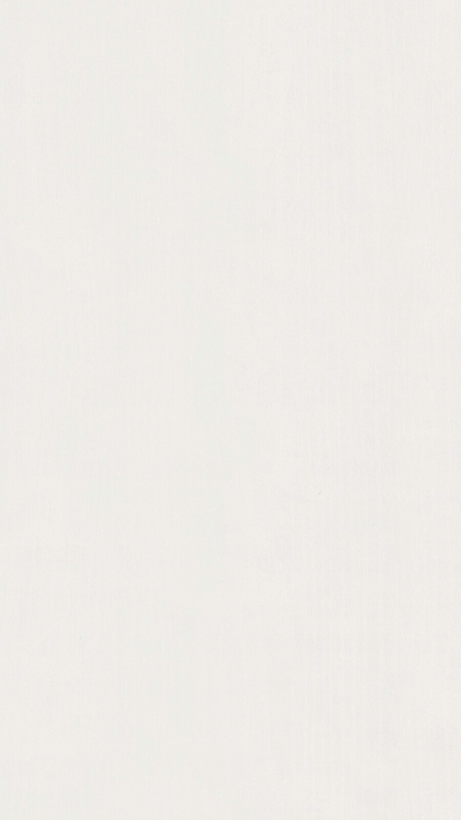 Decorative panels Classic white 00387 MEISTER